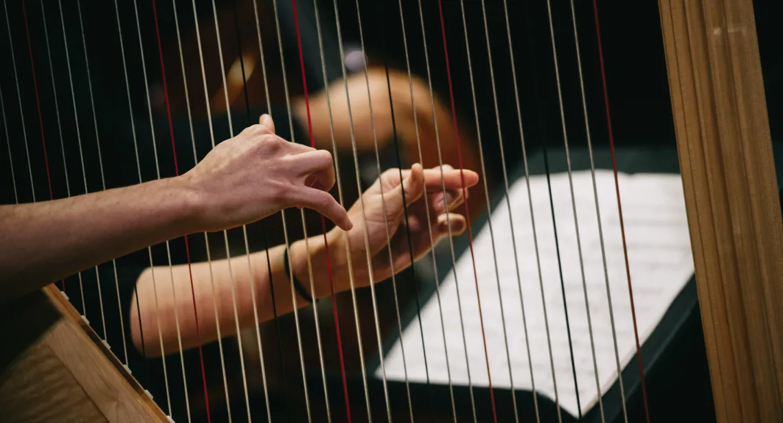 Harp Ensemble | Butler School of Music - The University of Texas at Austin